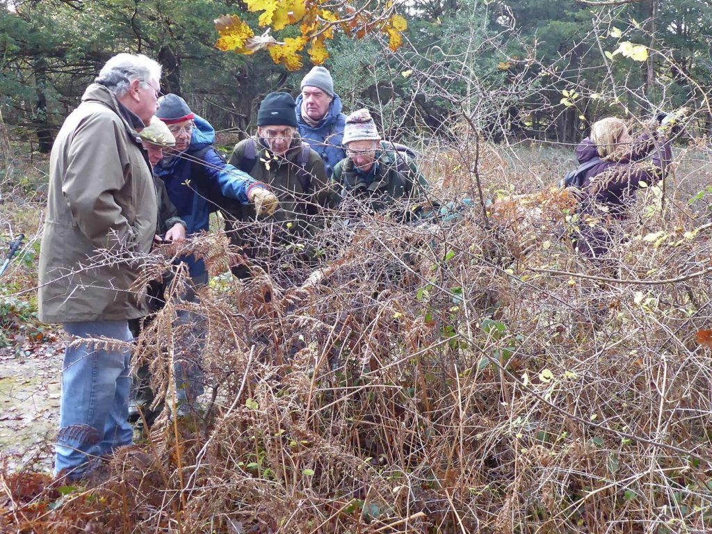Boundary planting and new hedges - Landscape Trust