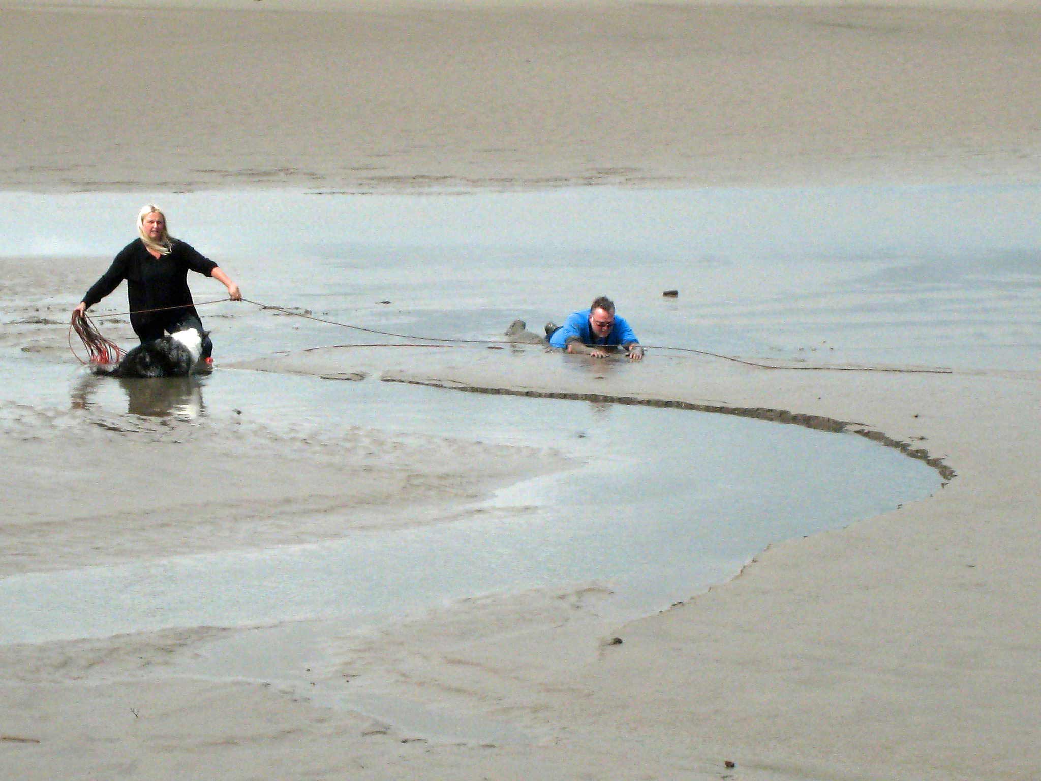 Dramatic Rescue at Sandside, Sunday 16th June, 2013 - Landscape Trust